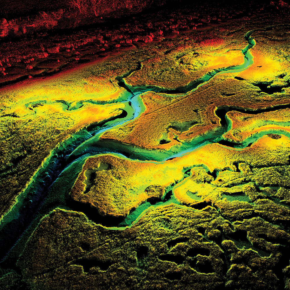 Three-dimensional digital mapping of ecosystems: a new era in spatial ...