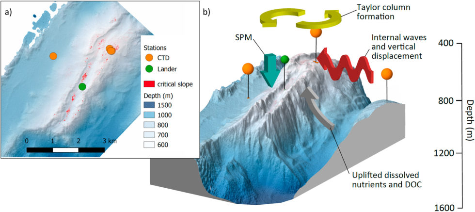 Long‐term Observations Reveal Environmental Conditions and Food Supply ...