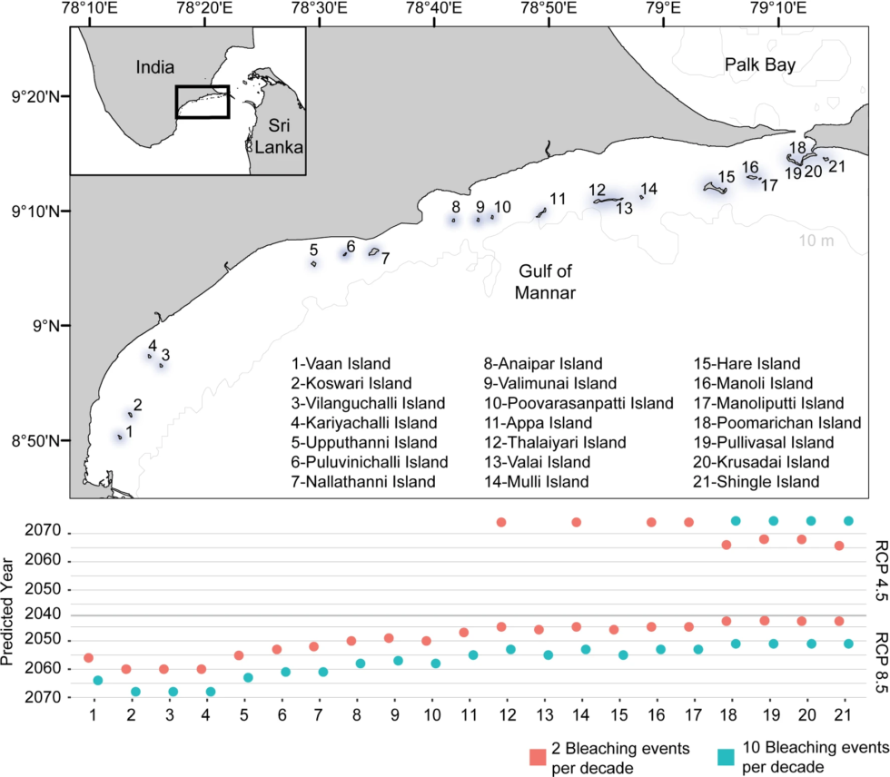 Coral reef resilience differs among islands within the Gulf of Mannar ...